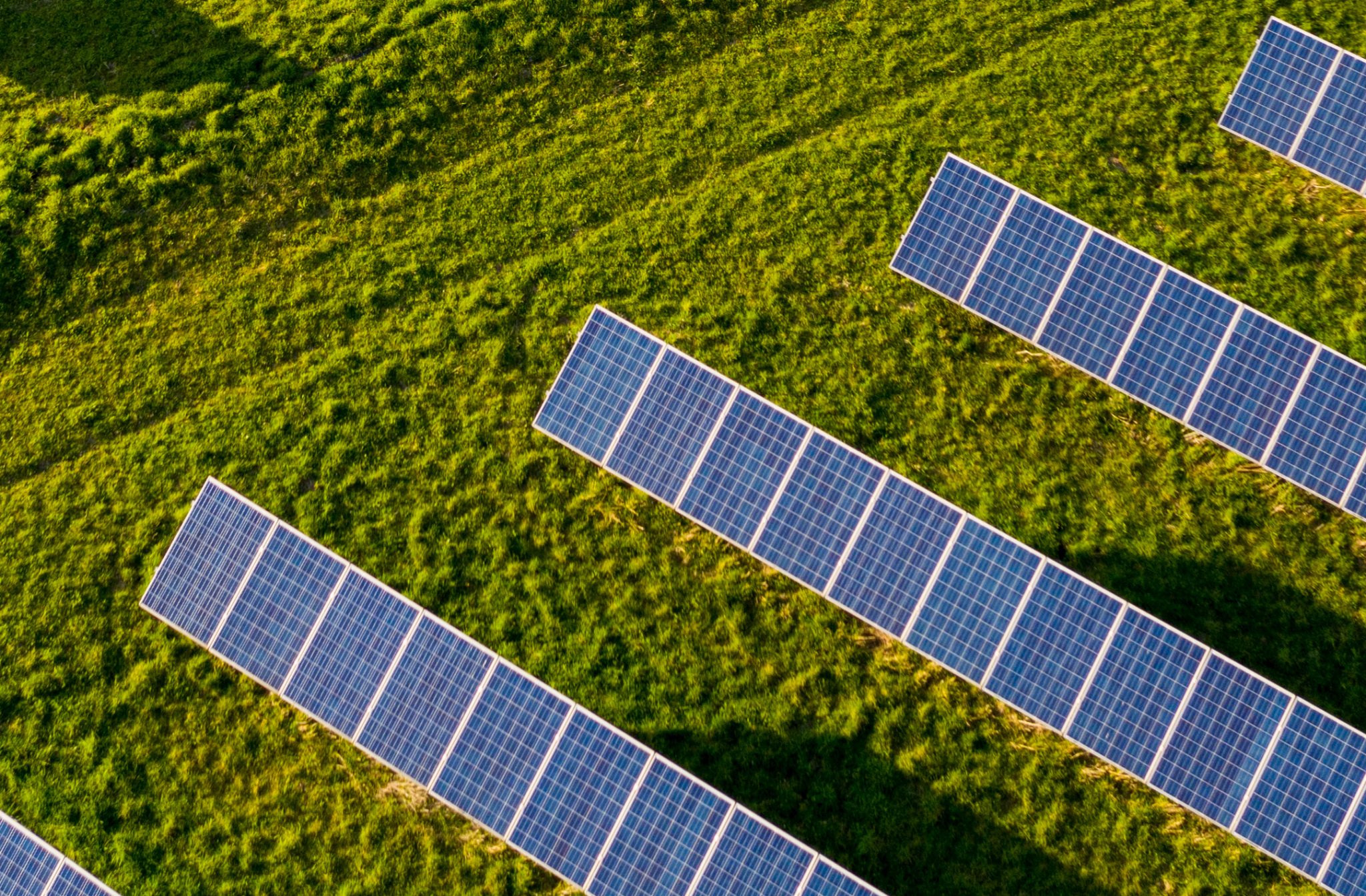 Maximisez votre énergie solaire avec nos trackers solaires- Falco Solar